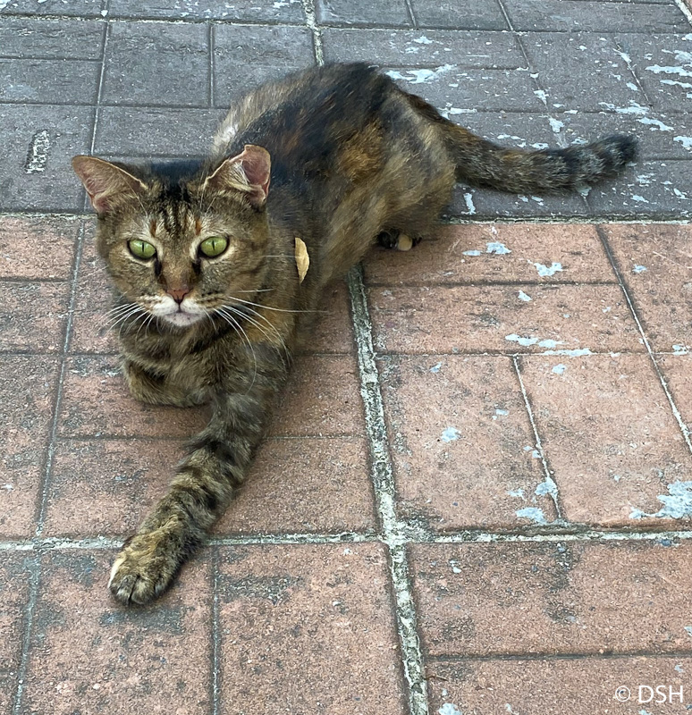 Deborah's Travel Blog