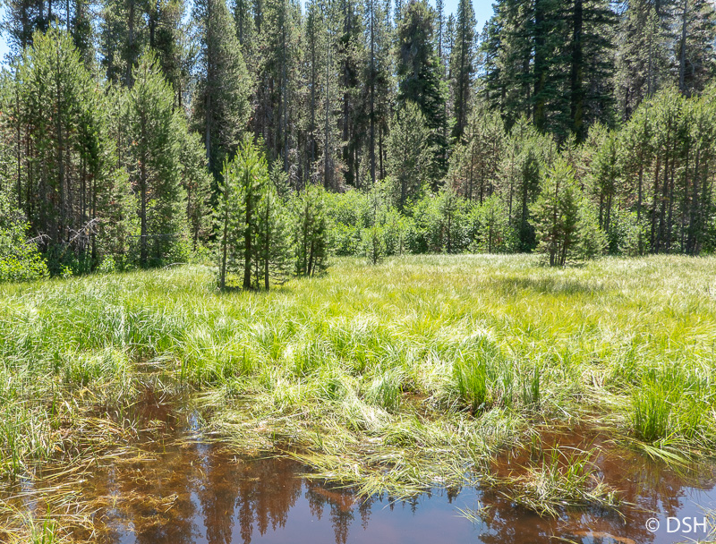 Tahoe Donner | Deborah's Travel Blog