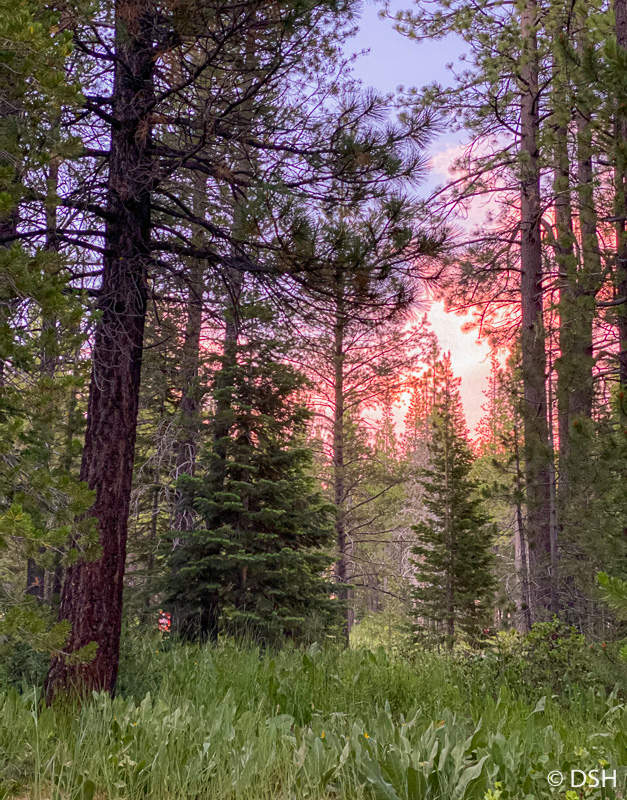 Tahoe Donner | Deborah's Travel Blog